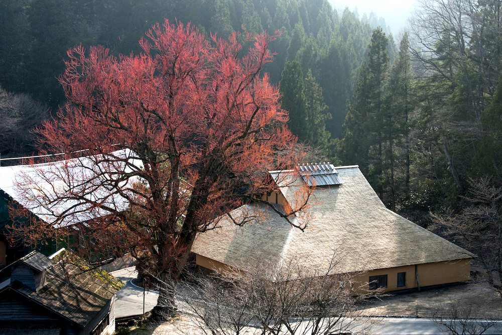 Japan Heritage Official Site | Stories and travel information | JNTO