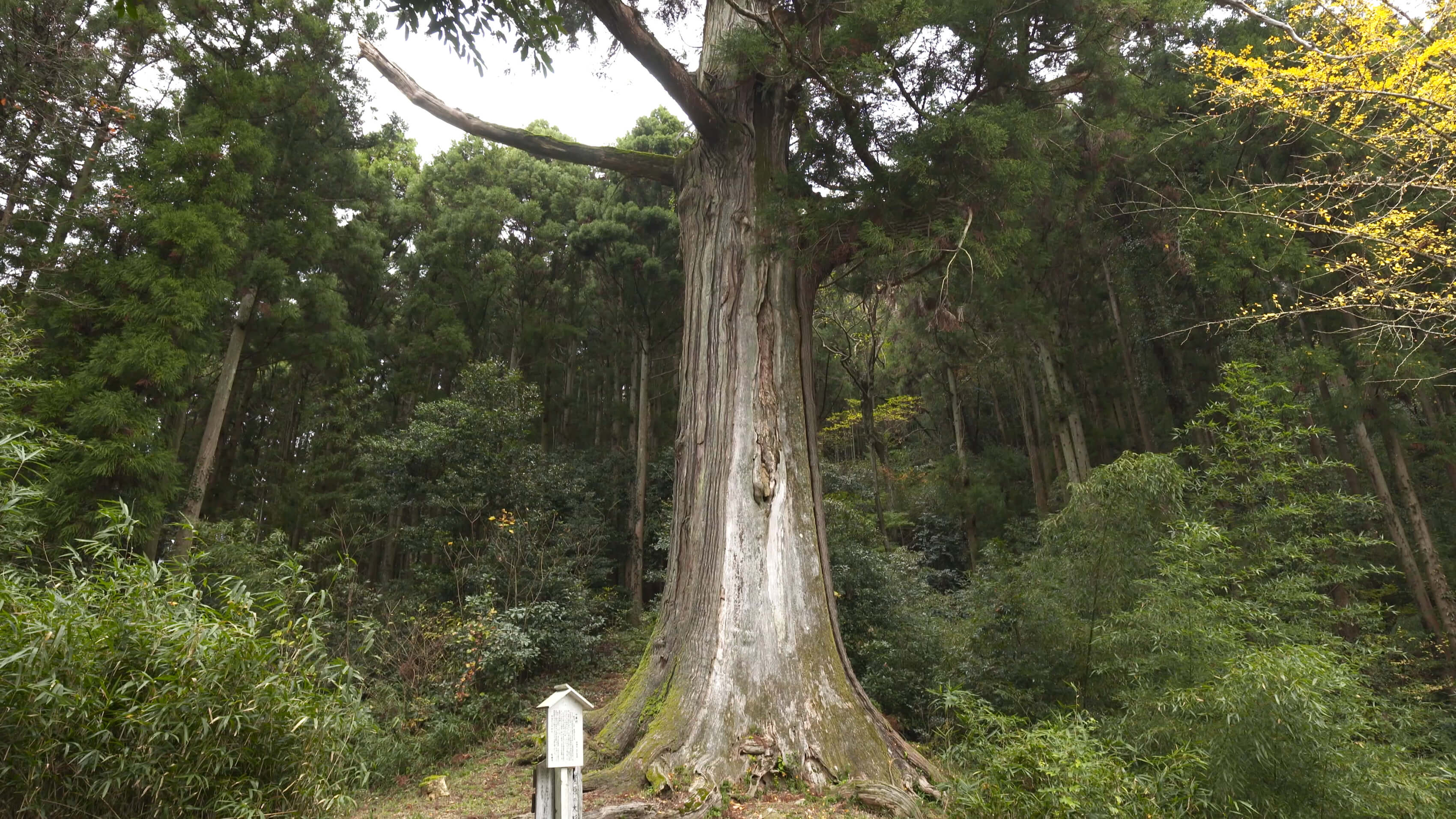 Japan Heritage Official Site | Stories and travel information | JNTO